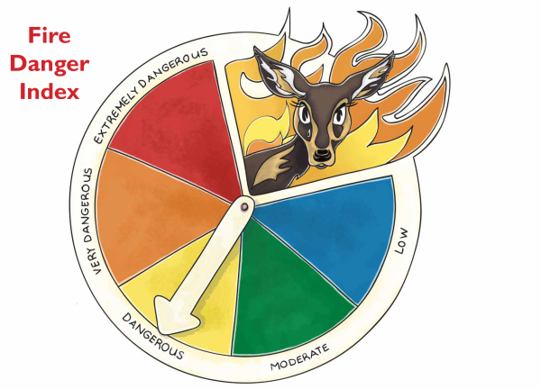 News | Be Fire Safe When in Nature