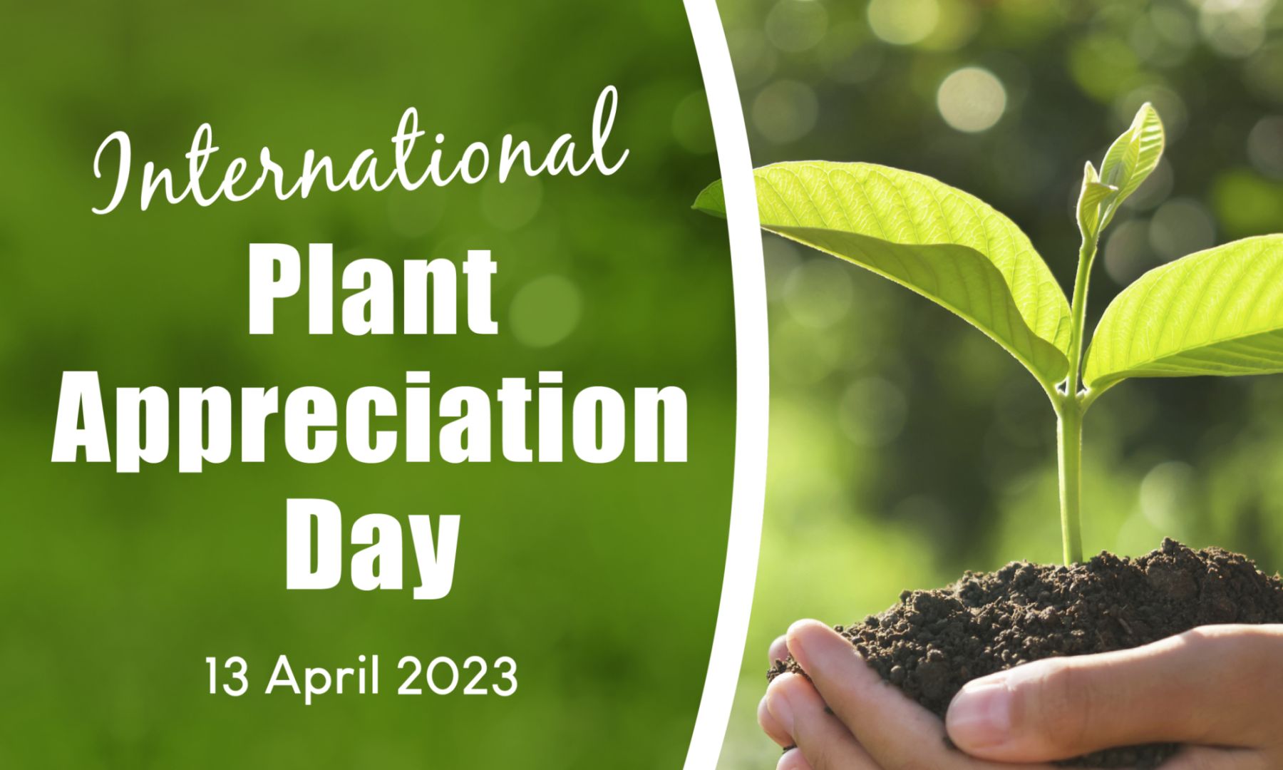 International Plant Appreciation Day