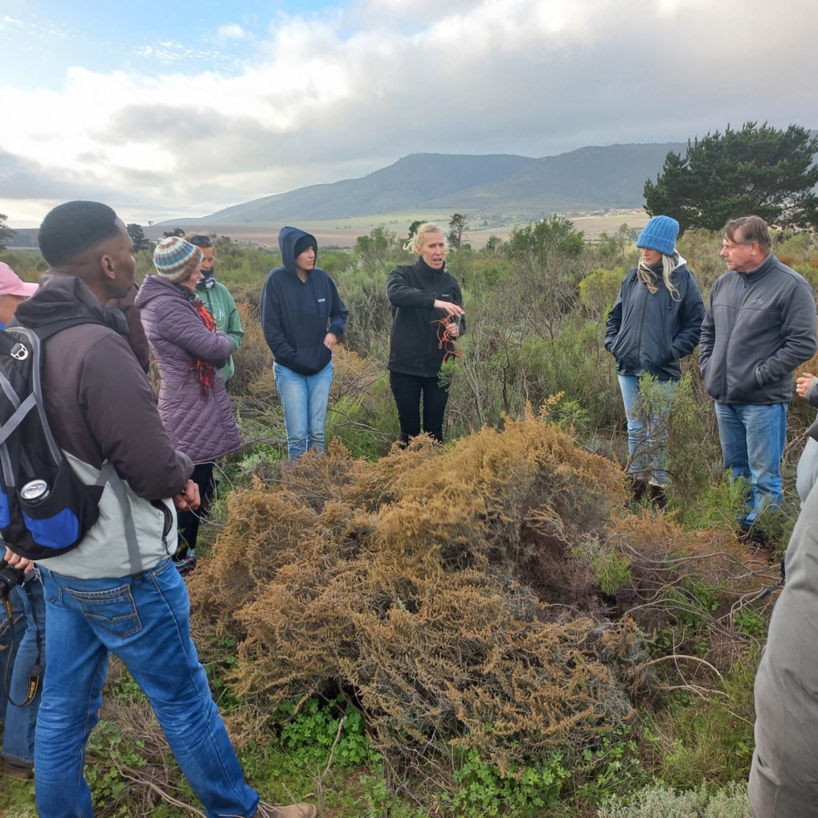 Move to Protect Wildlife From Snares in the Western Cape – Capenature
