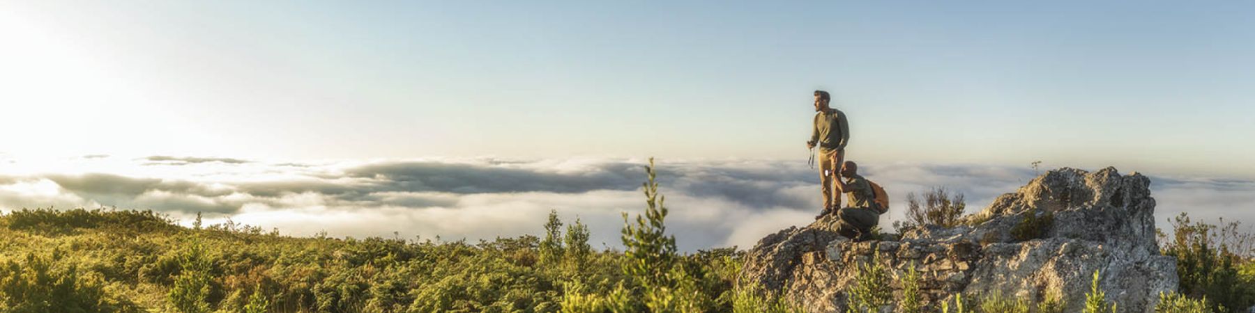 Reserves | Grootvadersbosch Nature Reserve
