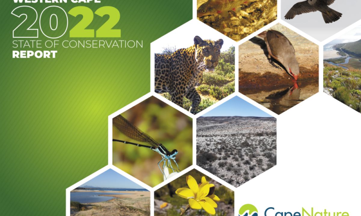 News | Fresh from the press - 2022 State of Conservation Report