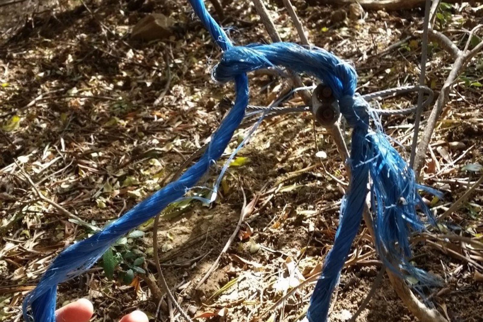 Collaborative Snare Free Initiative Proves Its Worth – Capenature