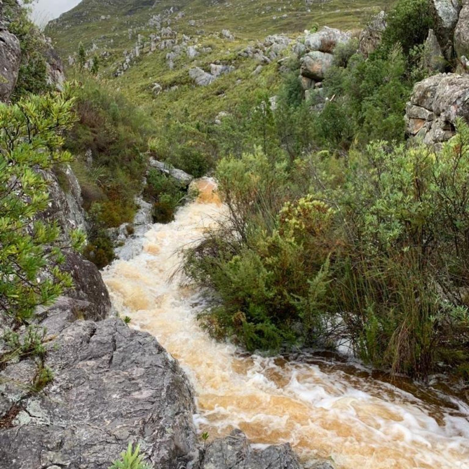 Home | Land and freshwater ecosystems