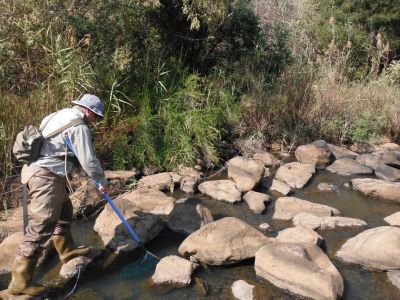 Home | Land and freshwater ecosystems
