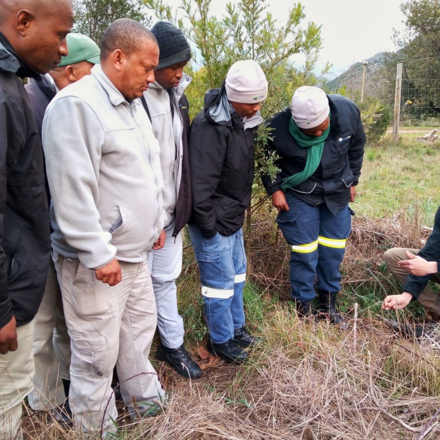 Move to Protect Wildlife From Snares in the Western Cape – Capenature