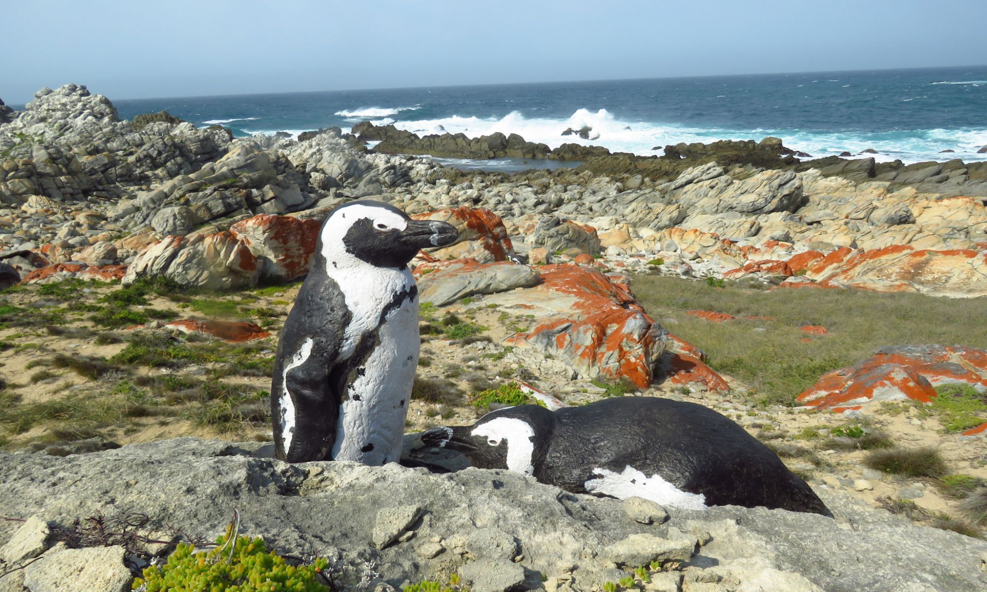 Marine Protected Areas With a Focus on the De Hoop Marine Protected Area