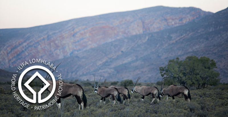 Reserves | Anysberg Nature Reserve
