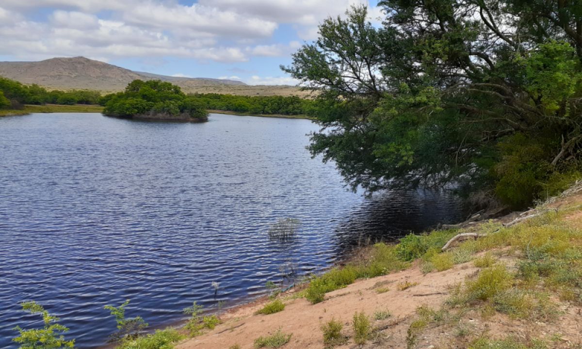 Firewood prohibited in all CapeNature reserves as a biodiversity ...