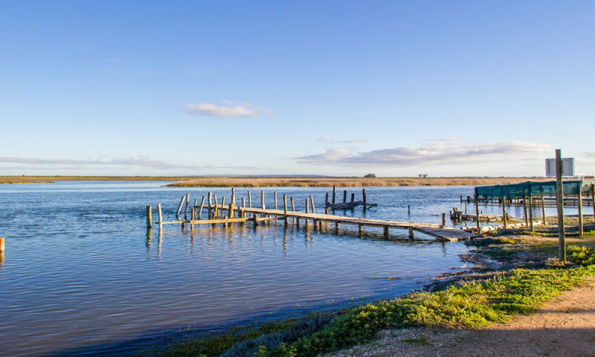 CapeNature celebrates World Wetlands Day 2022 in anticipation of the ...