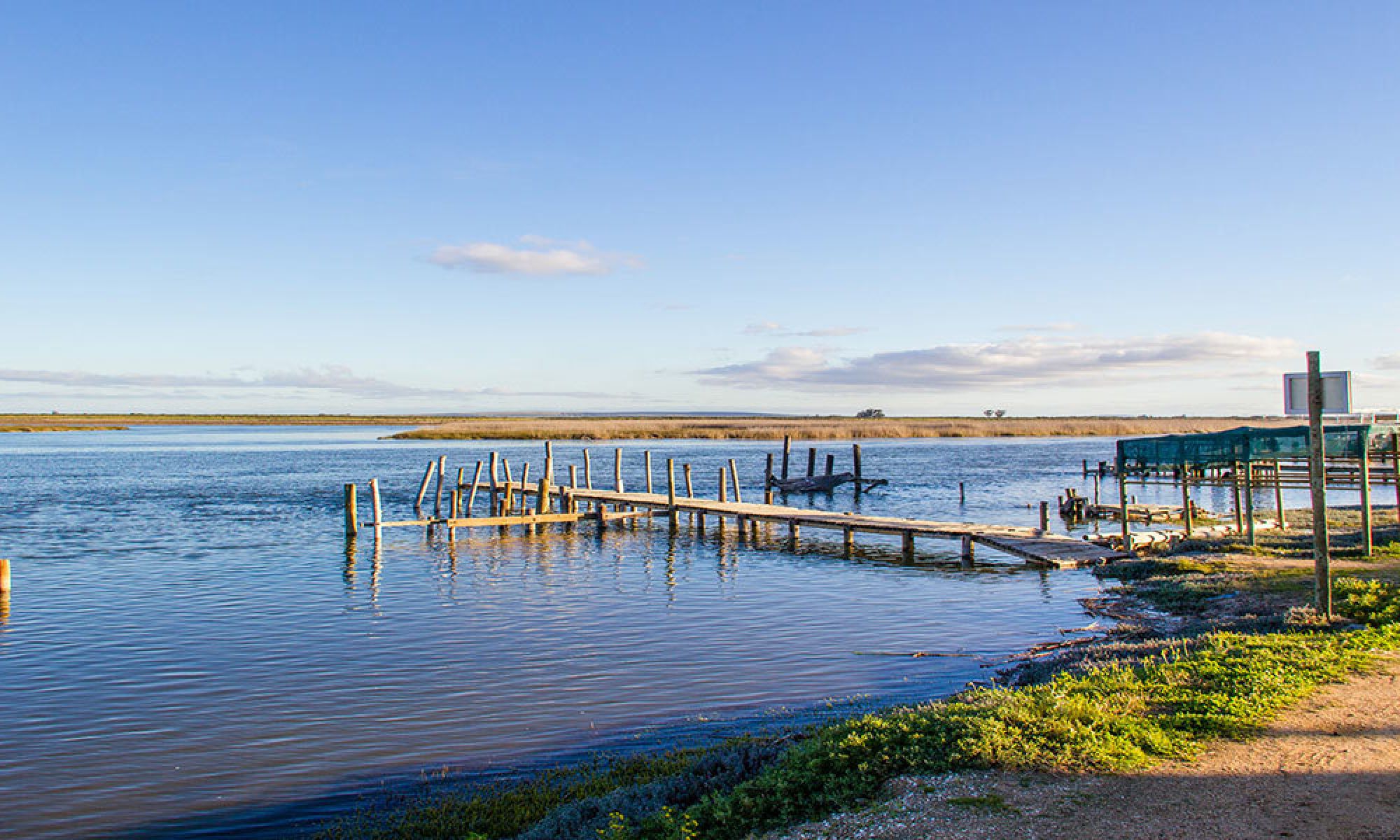 CapeNature celebrates World Wetlands Day 2022 in anticipation of the ...