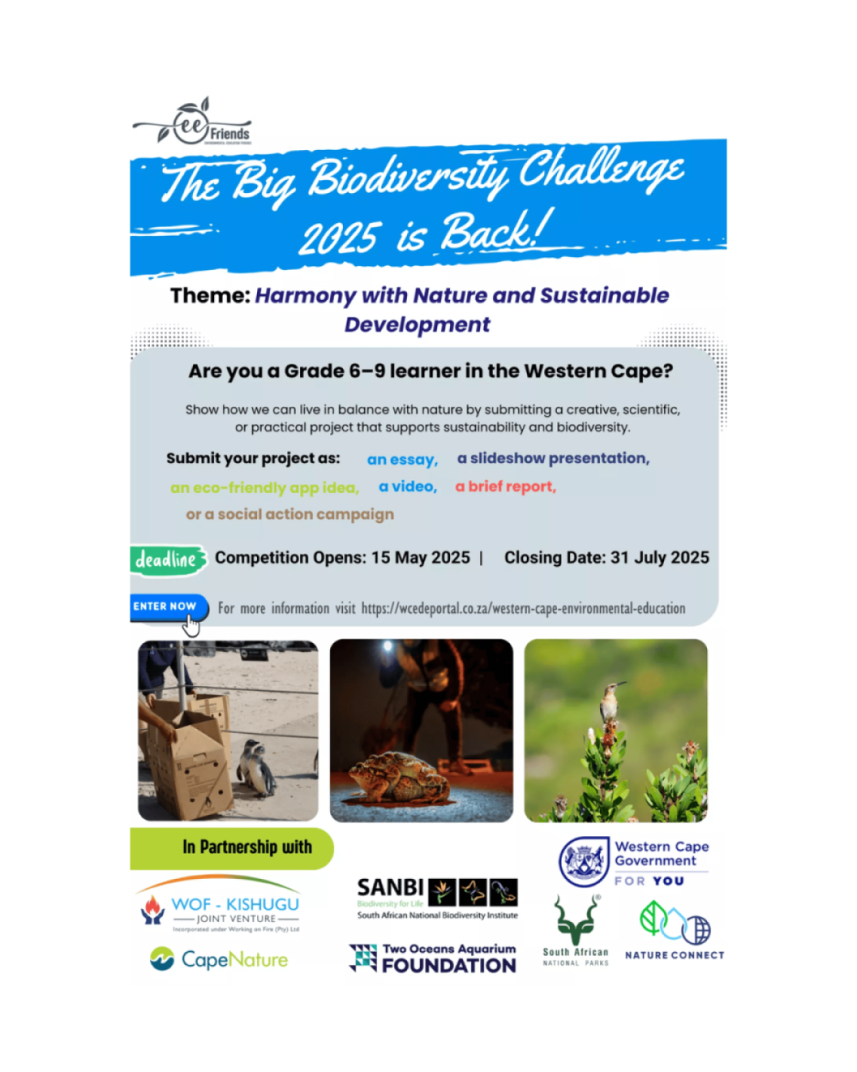 The Big Biodiversity Challenge is back – Learners Tackle Biodiversity ...