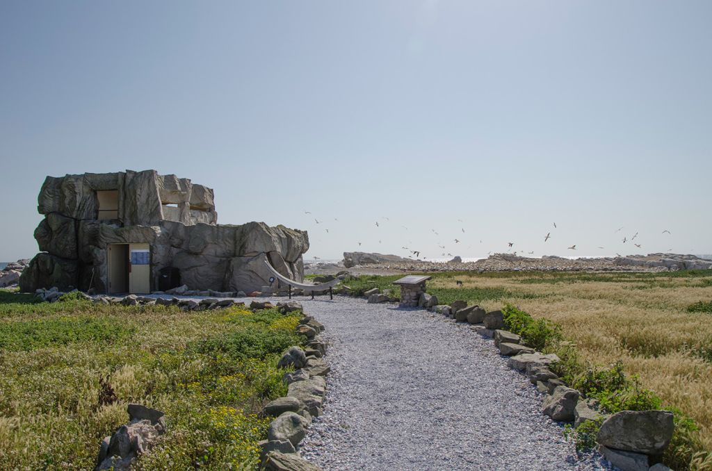 Conservation | Bird Island Nature Reserve Conservation