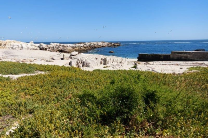 Bird Island gets a fresh look with enhanced interpretive signage