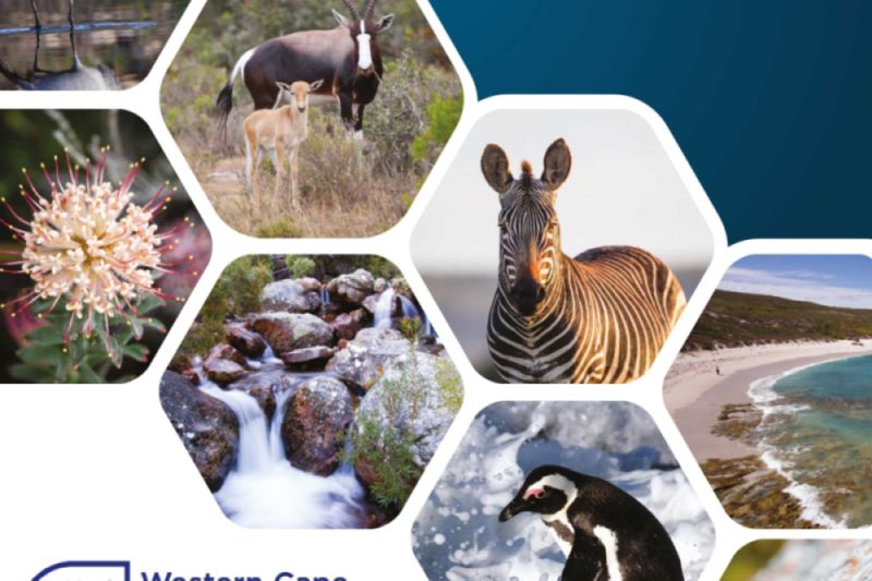 Research and resource library – Capenature