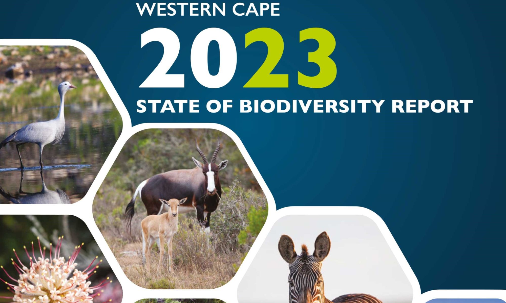 News | Latest State of Biodiversity Report - A Wealth of Information