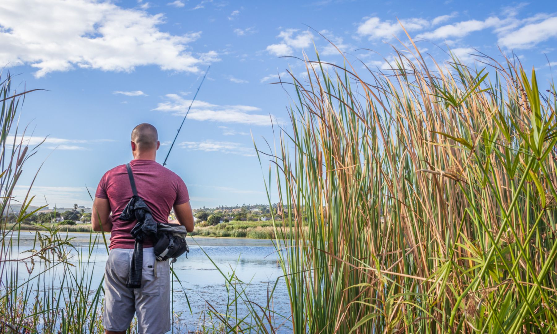 News | Elusive Boosmansbos long-tailed forest shrew recorded for the ...