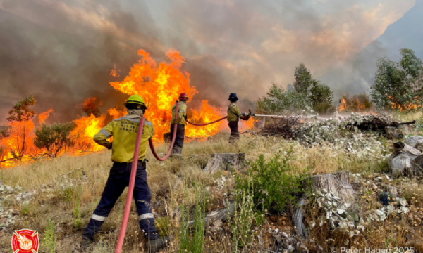 Cederberg fire recovery and visitor access