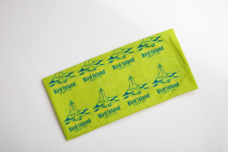 Home | Bird Island Curio Shop