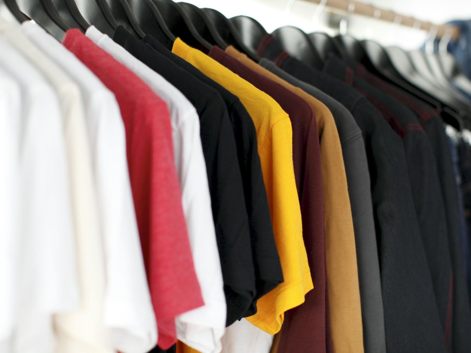 Explore | Curio Shops