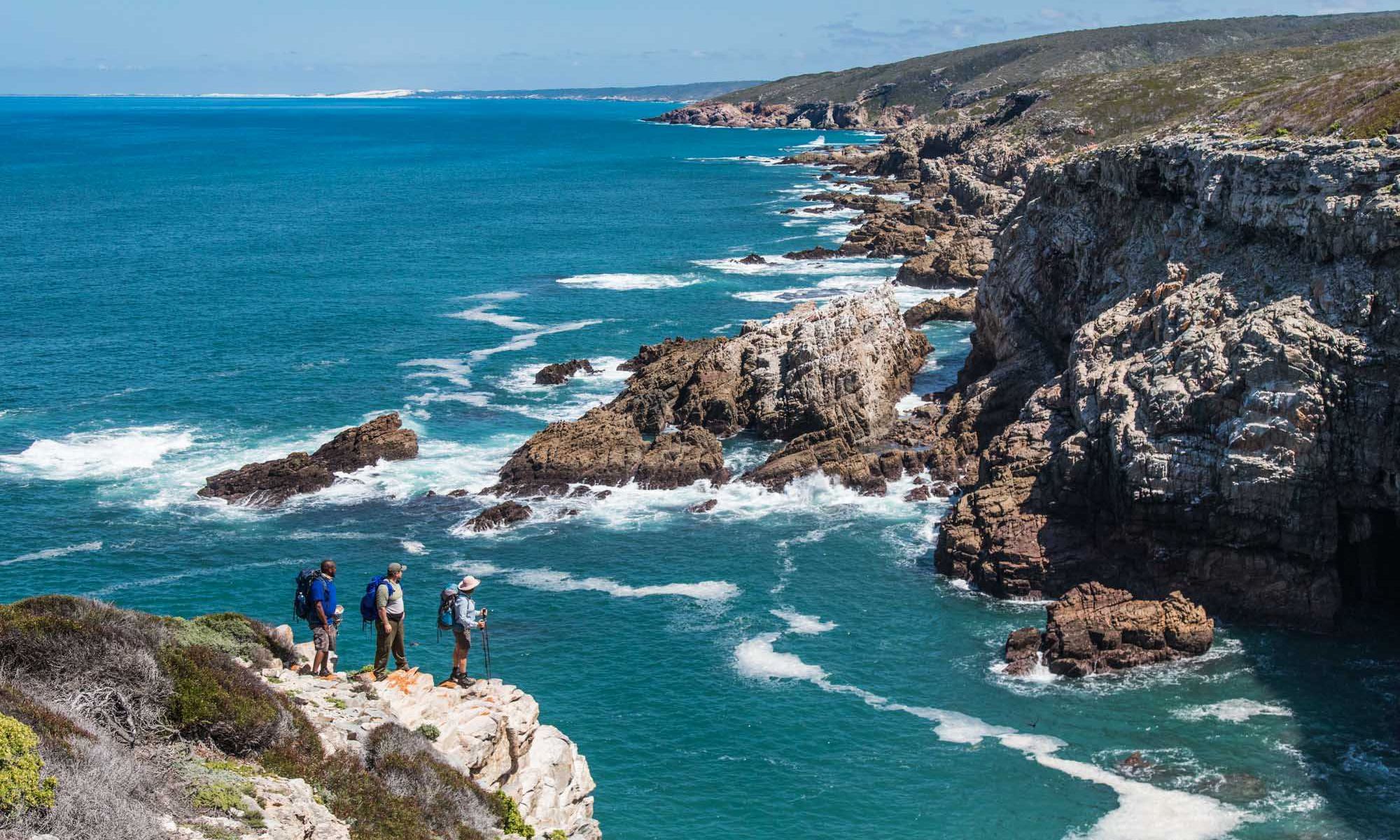 Firewood prohibited in all CapeNature reserves as a biodiversity ...