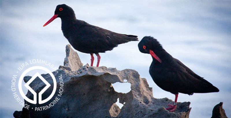 Reserves | De Hoop Nature Reserve