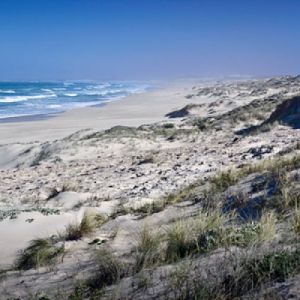 Conservation | De Mond Nature Reserve Conservation