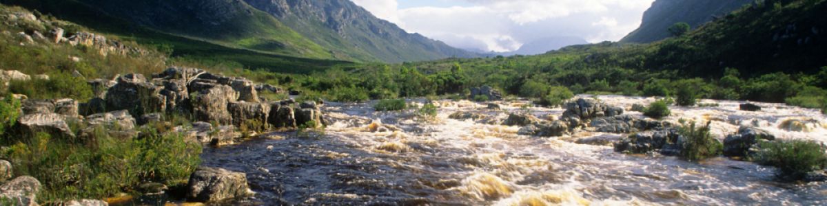 Home | Land and freshwater ecosystems