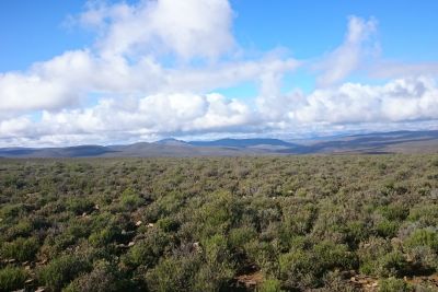 Home | Land and freshwater ecosystems