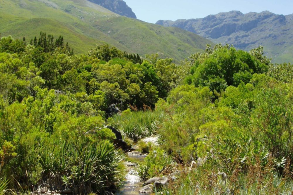Home | Land and freshwater ecosystems