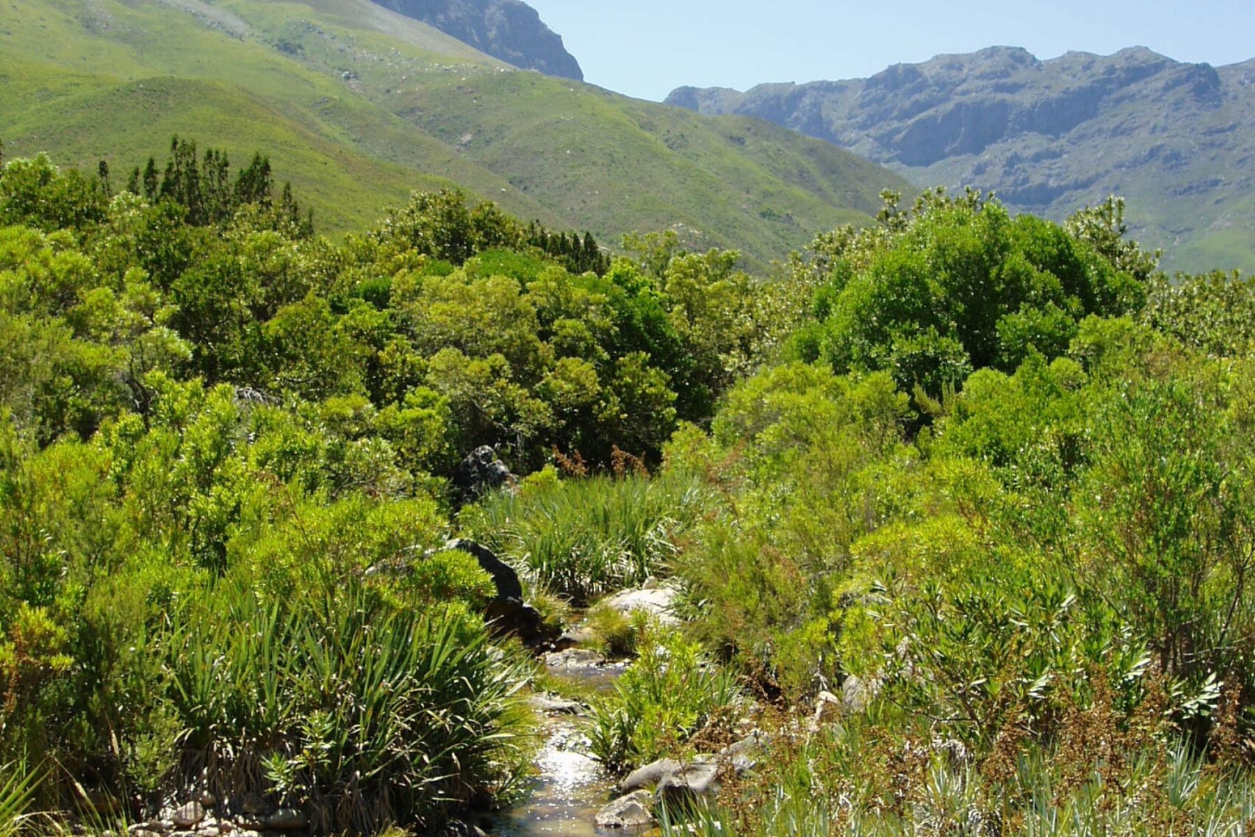 Home | Land and freshwater ecosystems