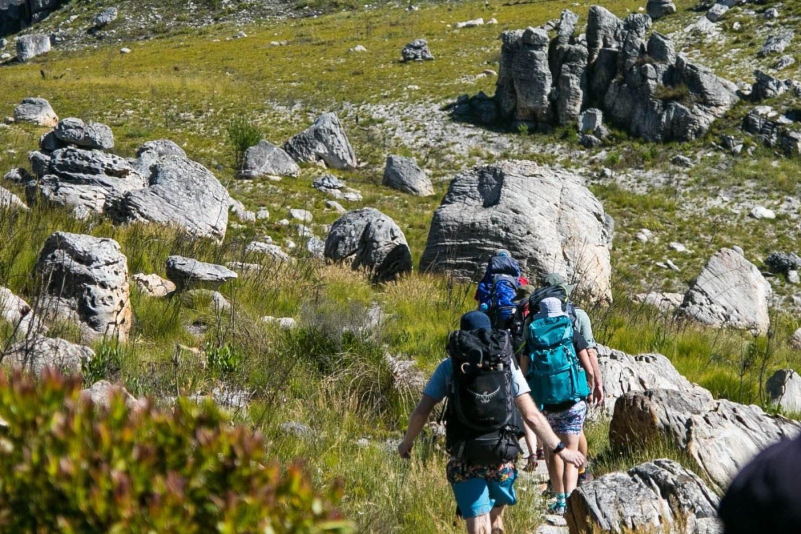News | Plan Your Next Trip by Exploring the New CapeNature Reserves Map
