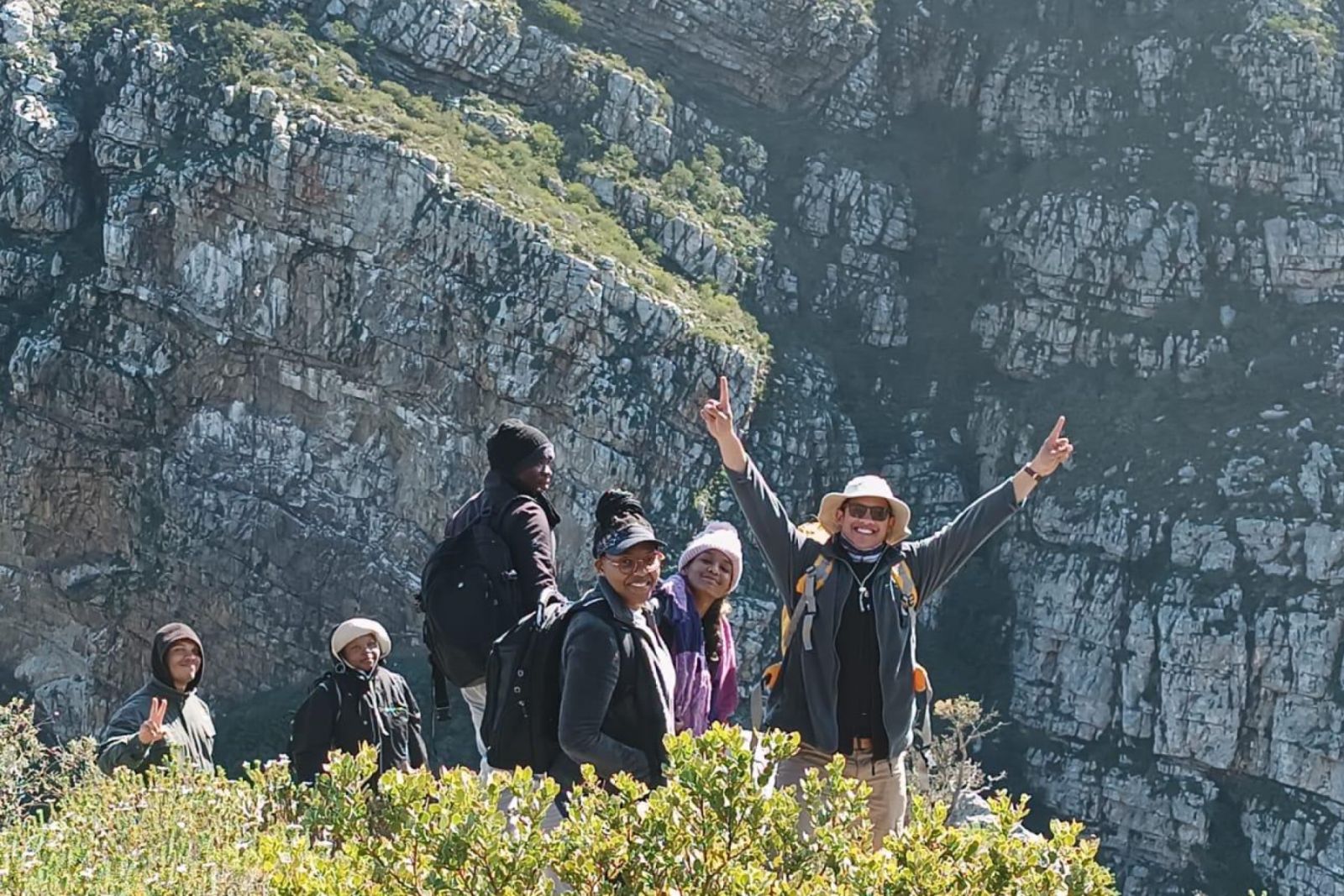 News | Guardians of the Sky: Cape Vultures in South Africa's Potberg ...