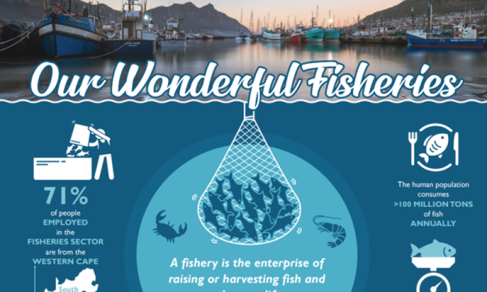 World Fisheries Day