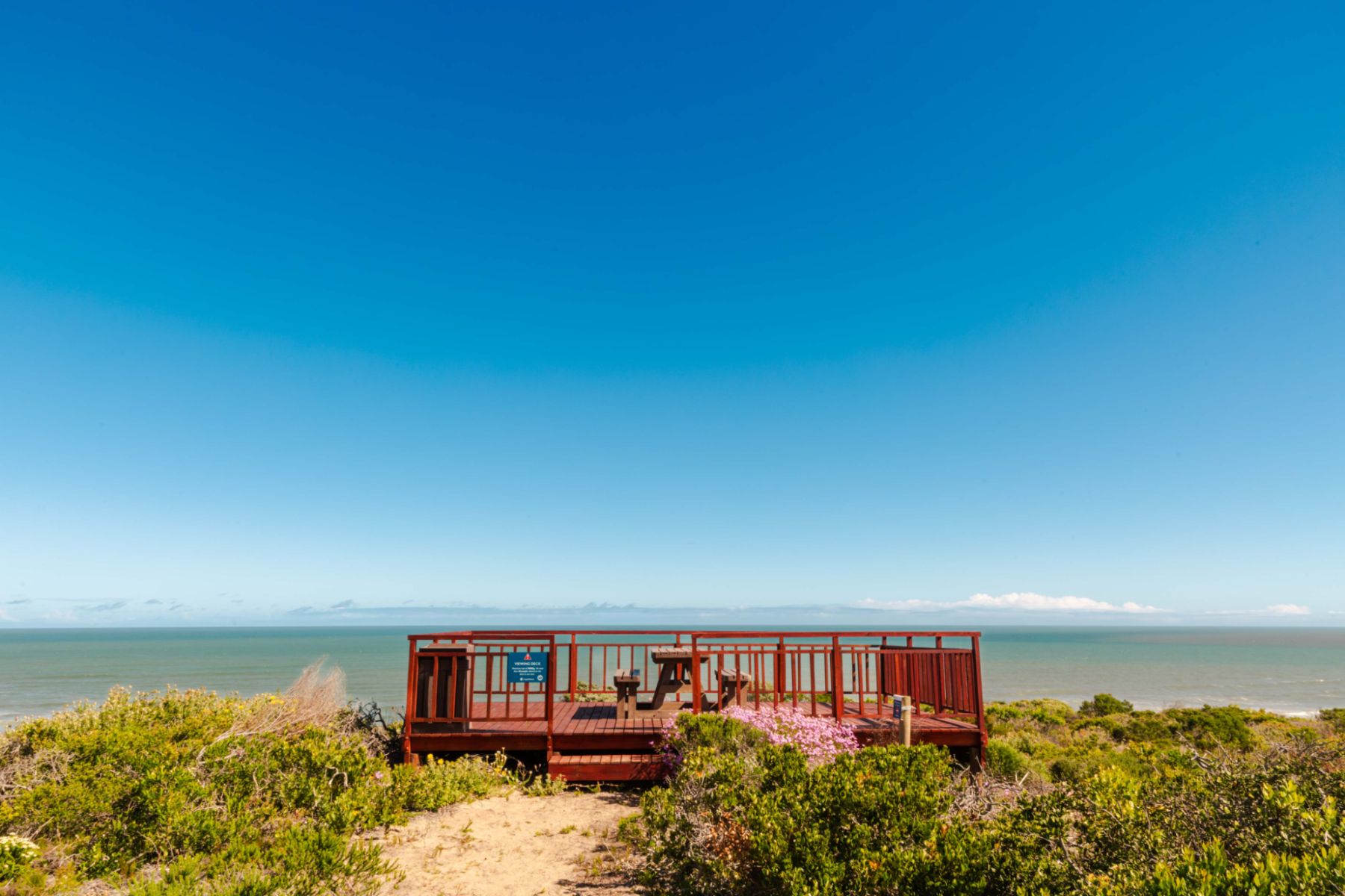 News | Geelkrans Nature Reserve: a Coastal Haven in Stilbaai