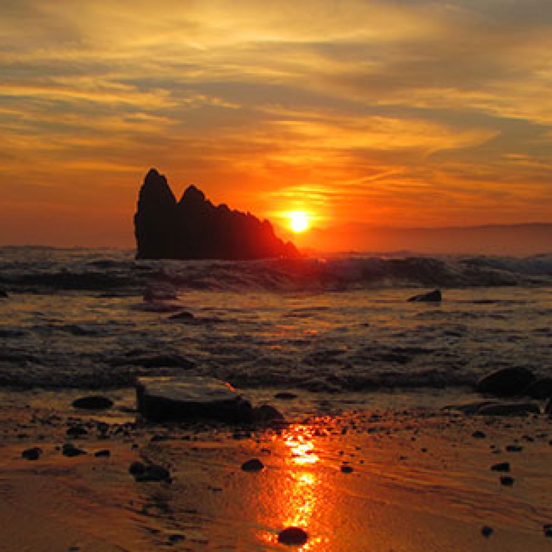 Conservation | Goukamma Nature and Marine Reserve Conservation