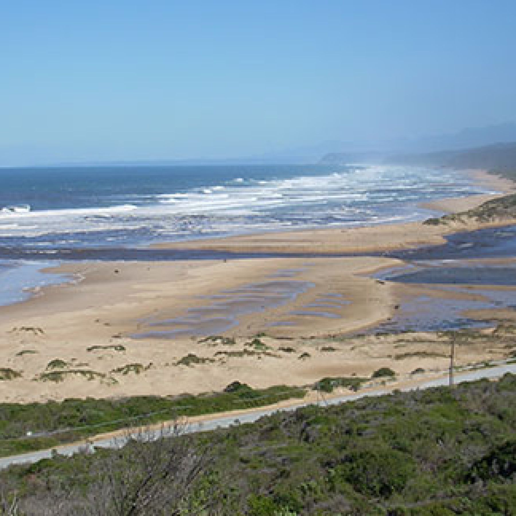Conservation | Goukamma Nature and Marine Reserve Conservation