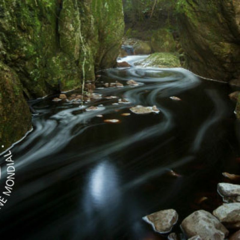 Grootvadersbosch Nature Reserve – Capenature