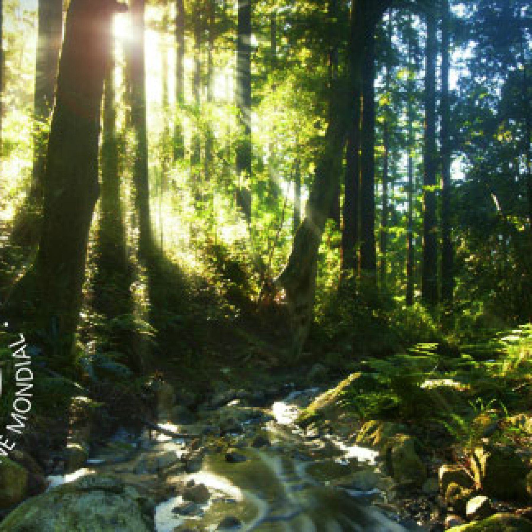 Grootvadersbosch Nature Reserve – Capenature