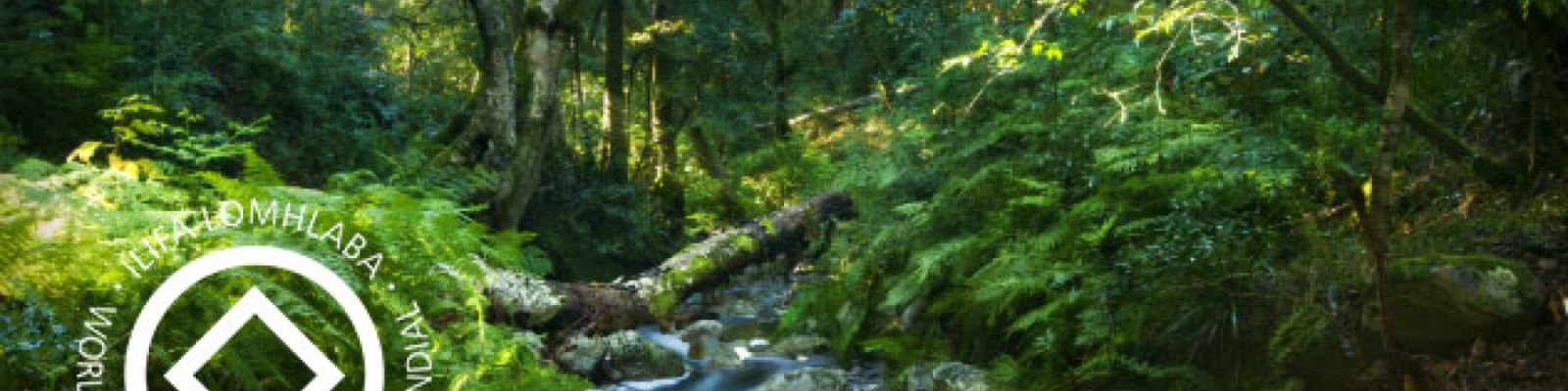 Conservation | Grootvadersbosch Nature Reserve Conservation