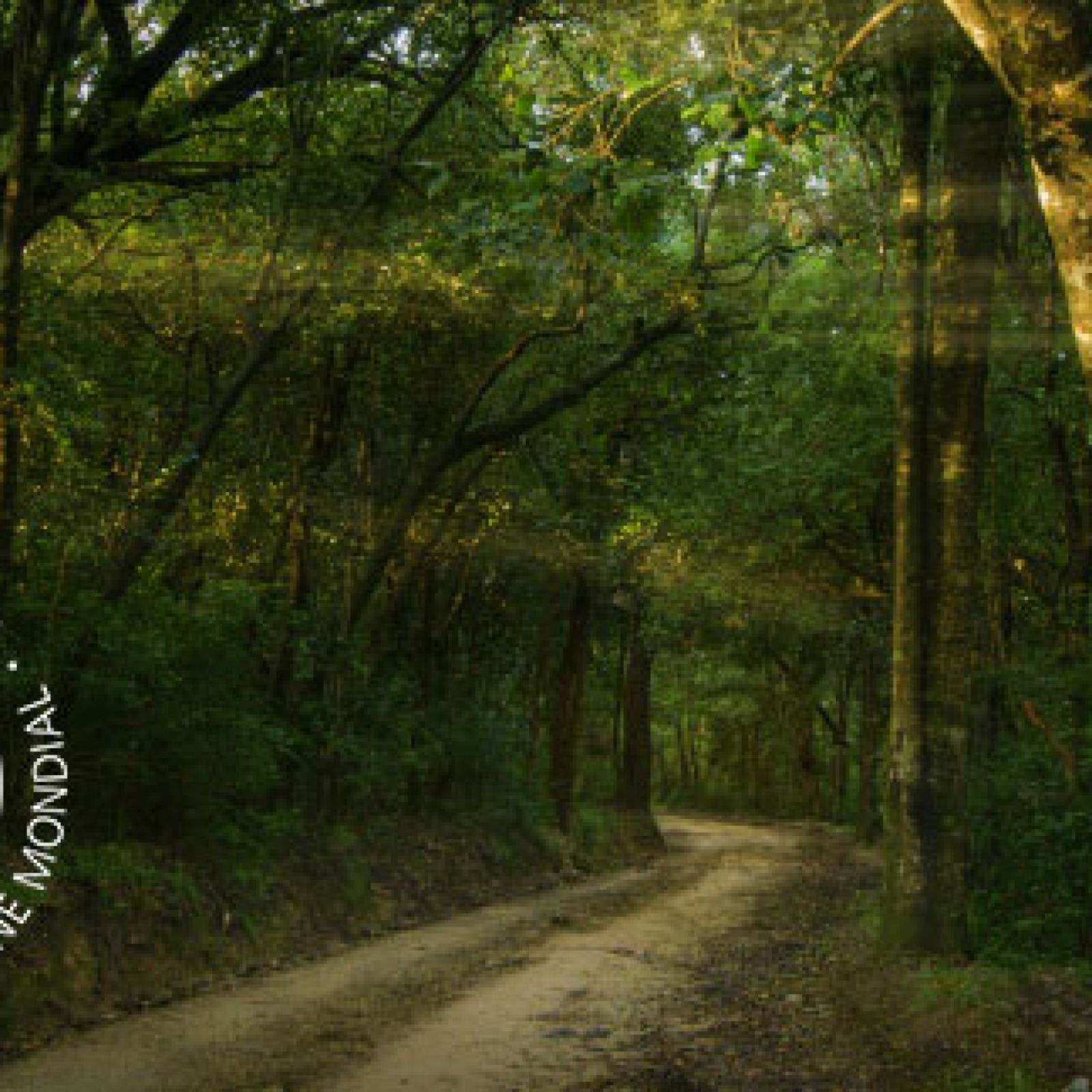 Conservation | Grootvadersbosch Nature Reserve Conservation