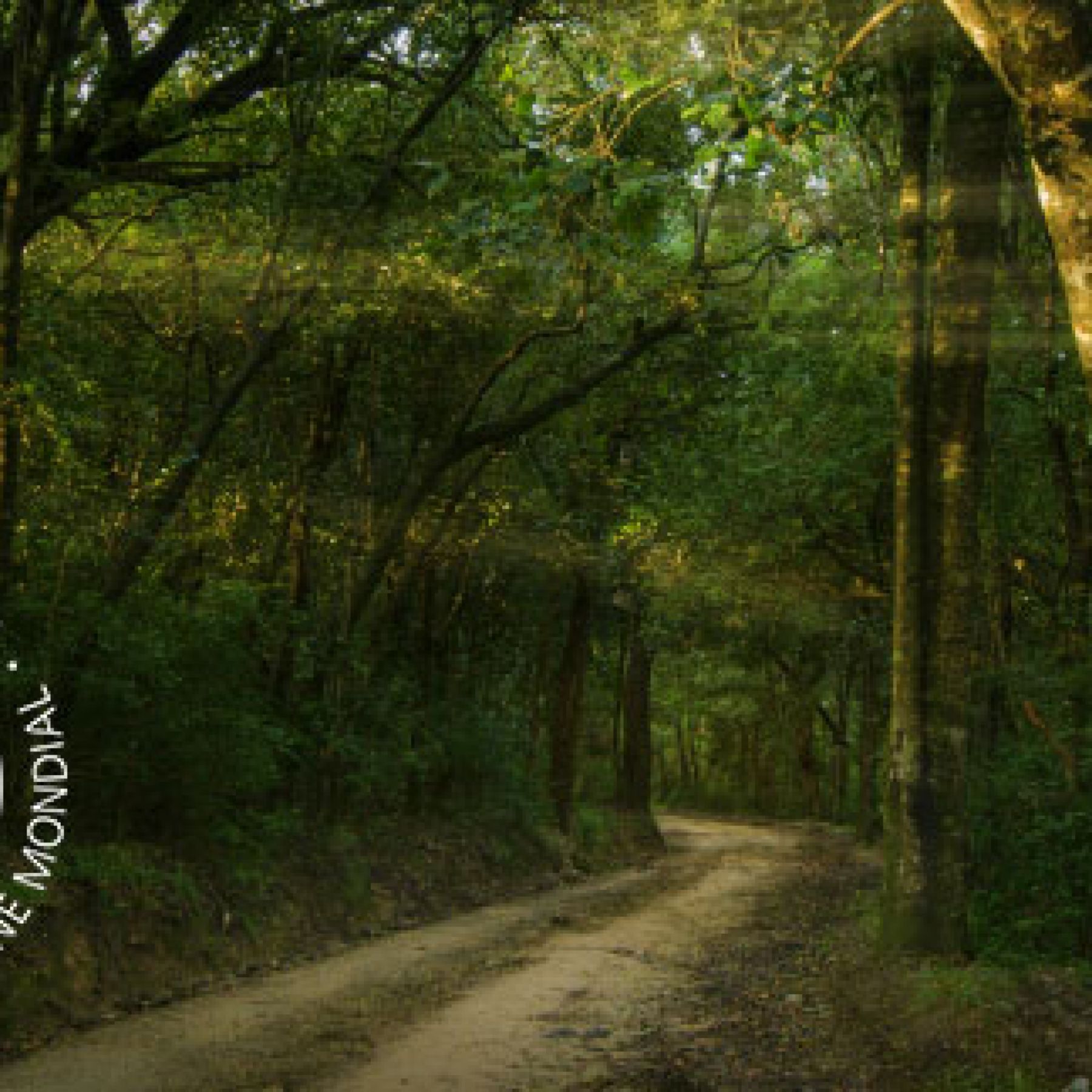 Grootvadersbosch Nature Reserve – Capenature