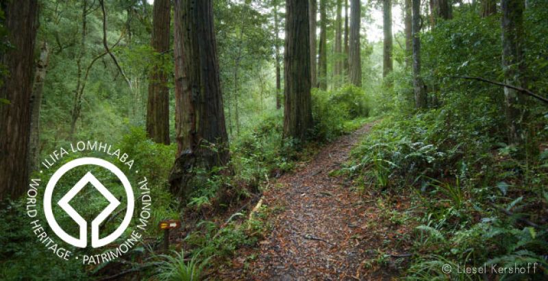 Reserves | Grootvadersbosch Nature Reserve