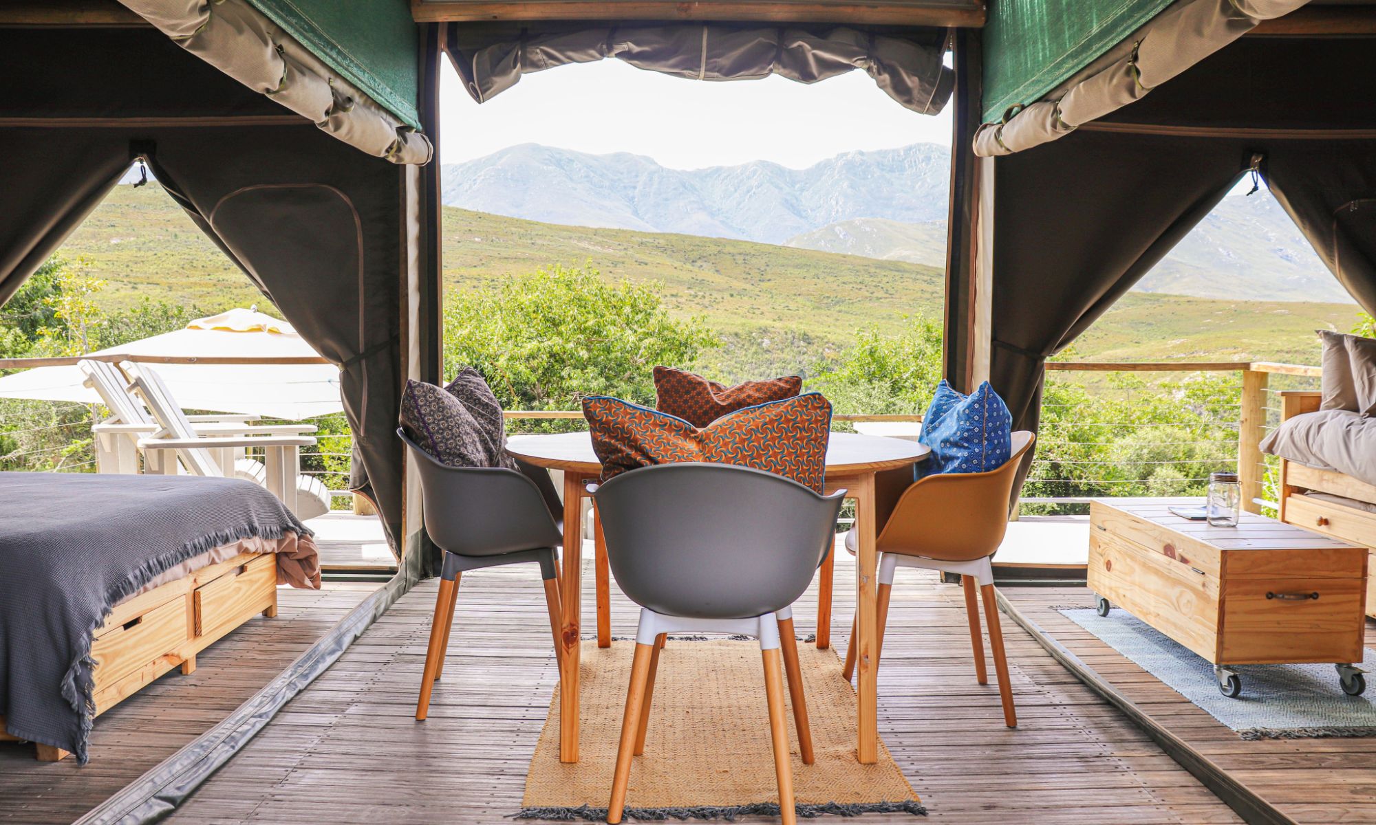 Steps underway to secure baboon rangers for festive season, and beyond ...