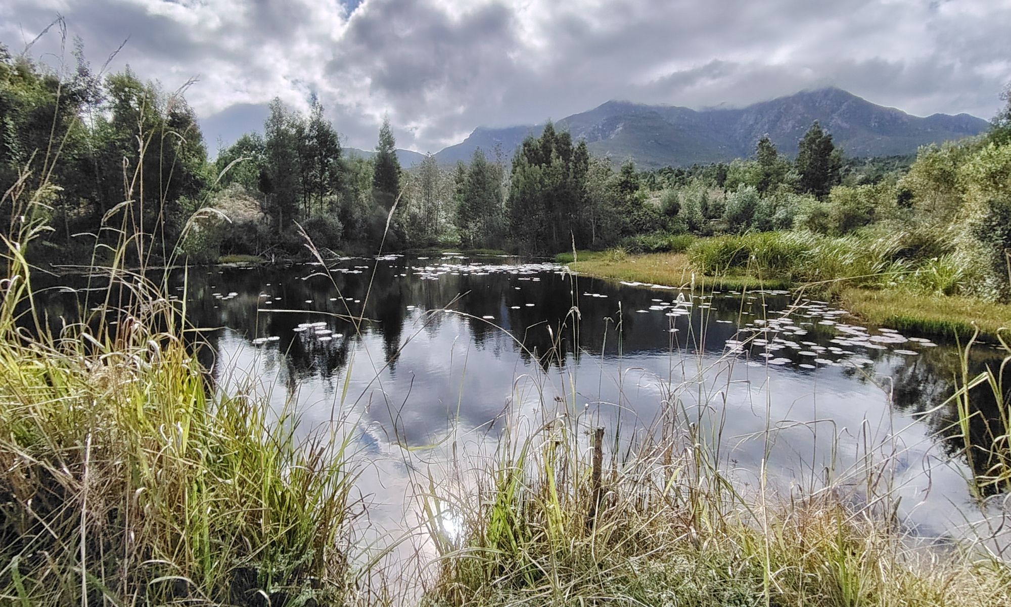 News | Minister De Lille hands over Infrastructure Maintenance Project ...