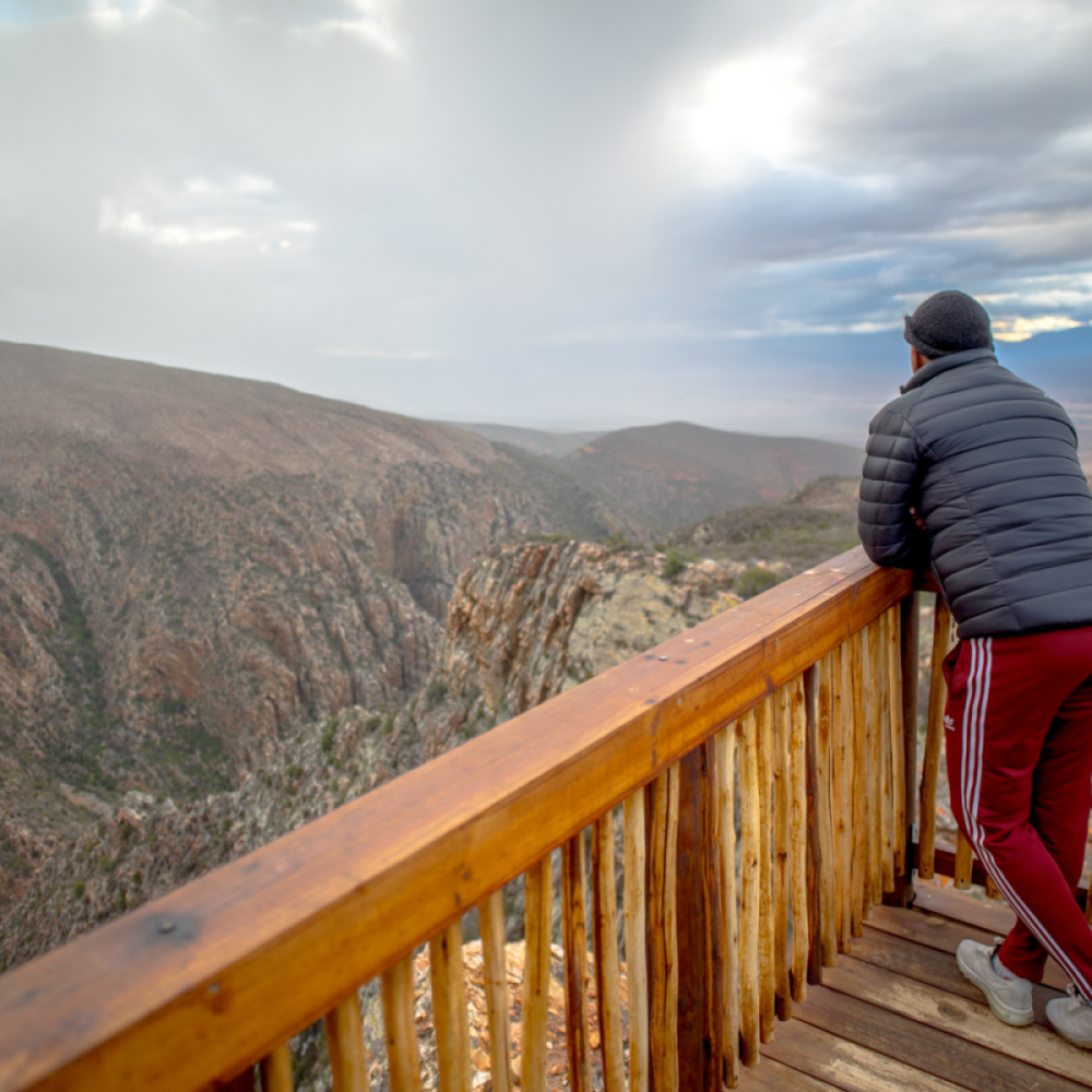 Five CapeNature Reserves to Visit for Wellness