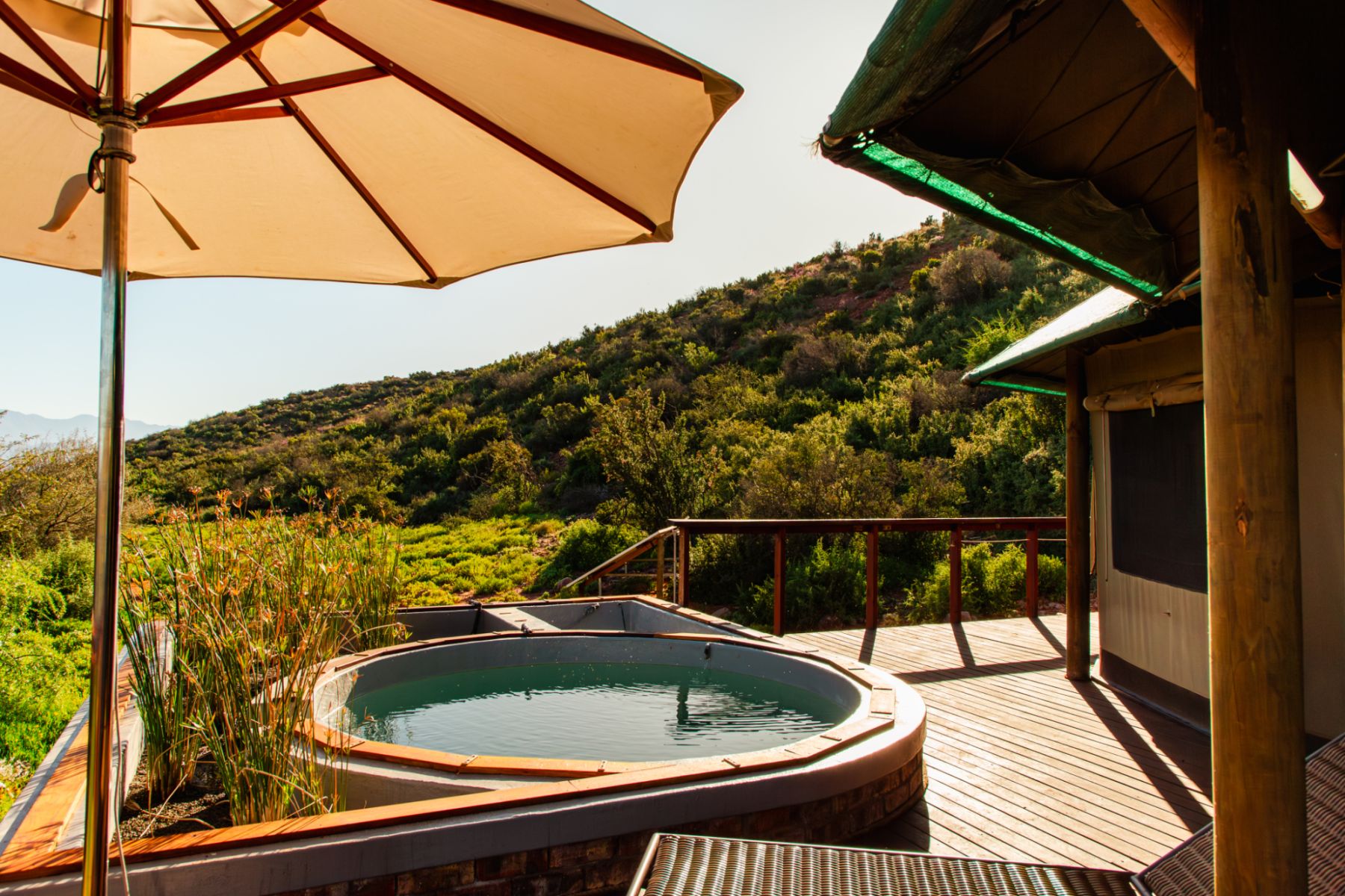 Less Worry, More Nature with CapeNature & Mobicred! - Capenature