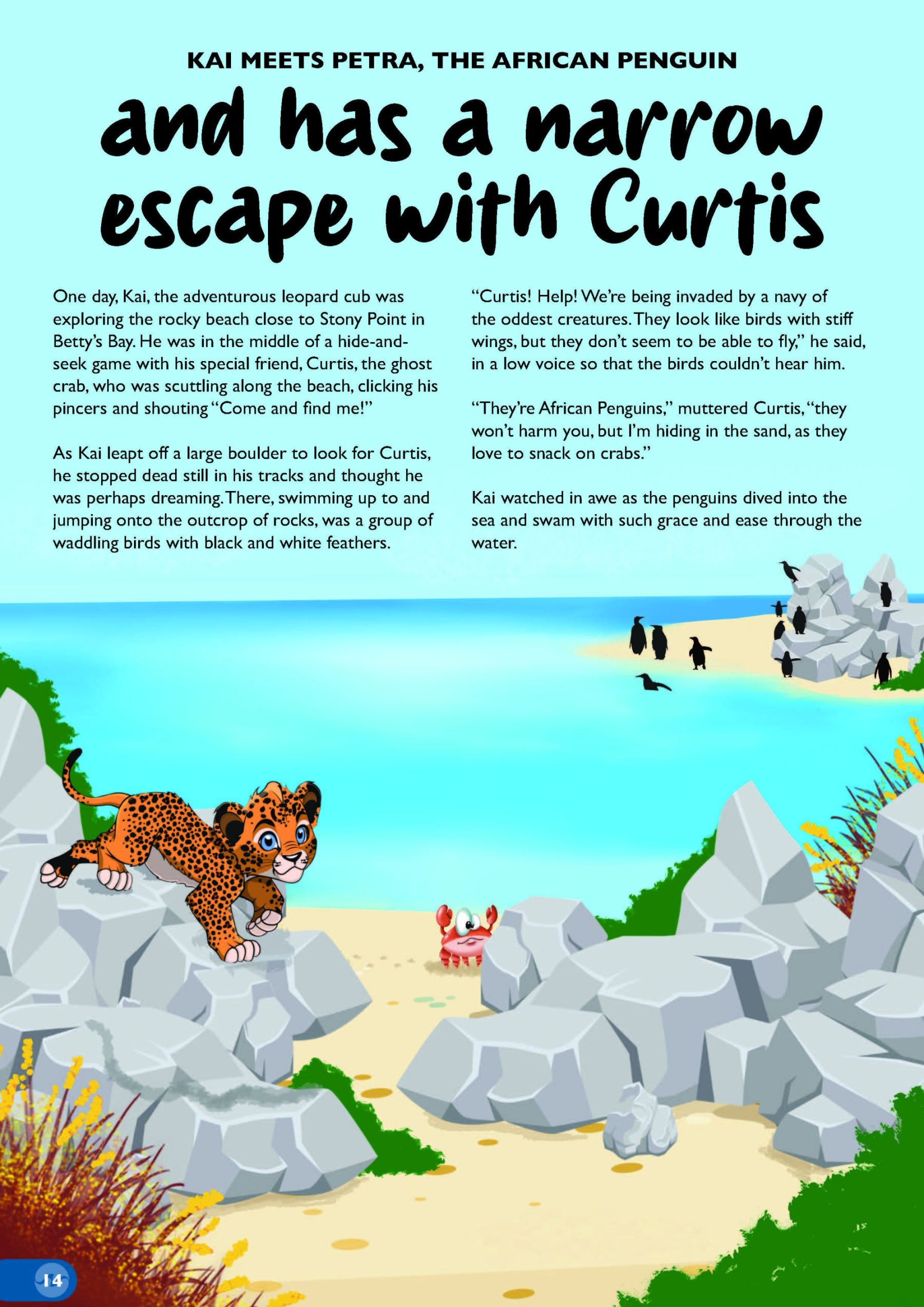 News | KAI MEETS PETRA, THE AFRICAN PENGUIN and has a narrow escape ...