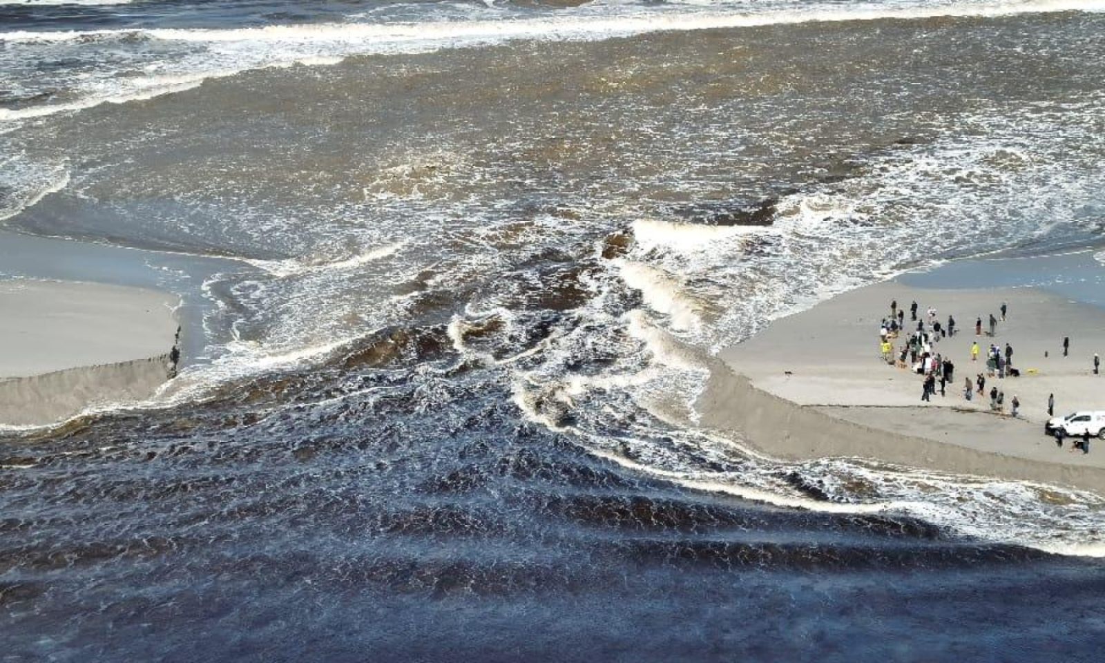 Elusive Boosmansbos long-tailed forest shrew recorded for the first ...