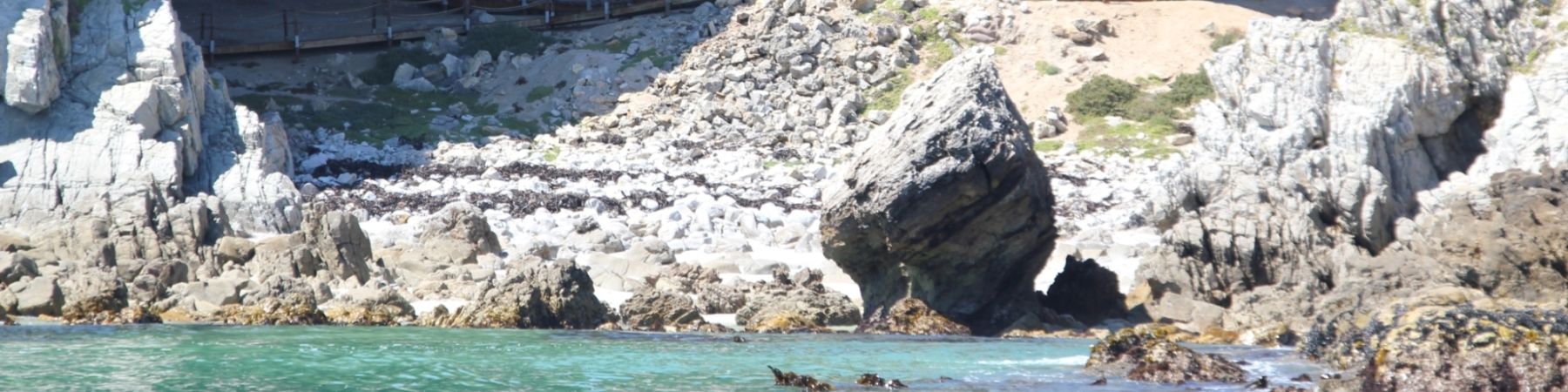 Walker Bay Nature Reserve – Capenature