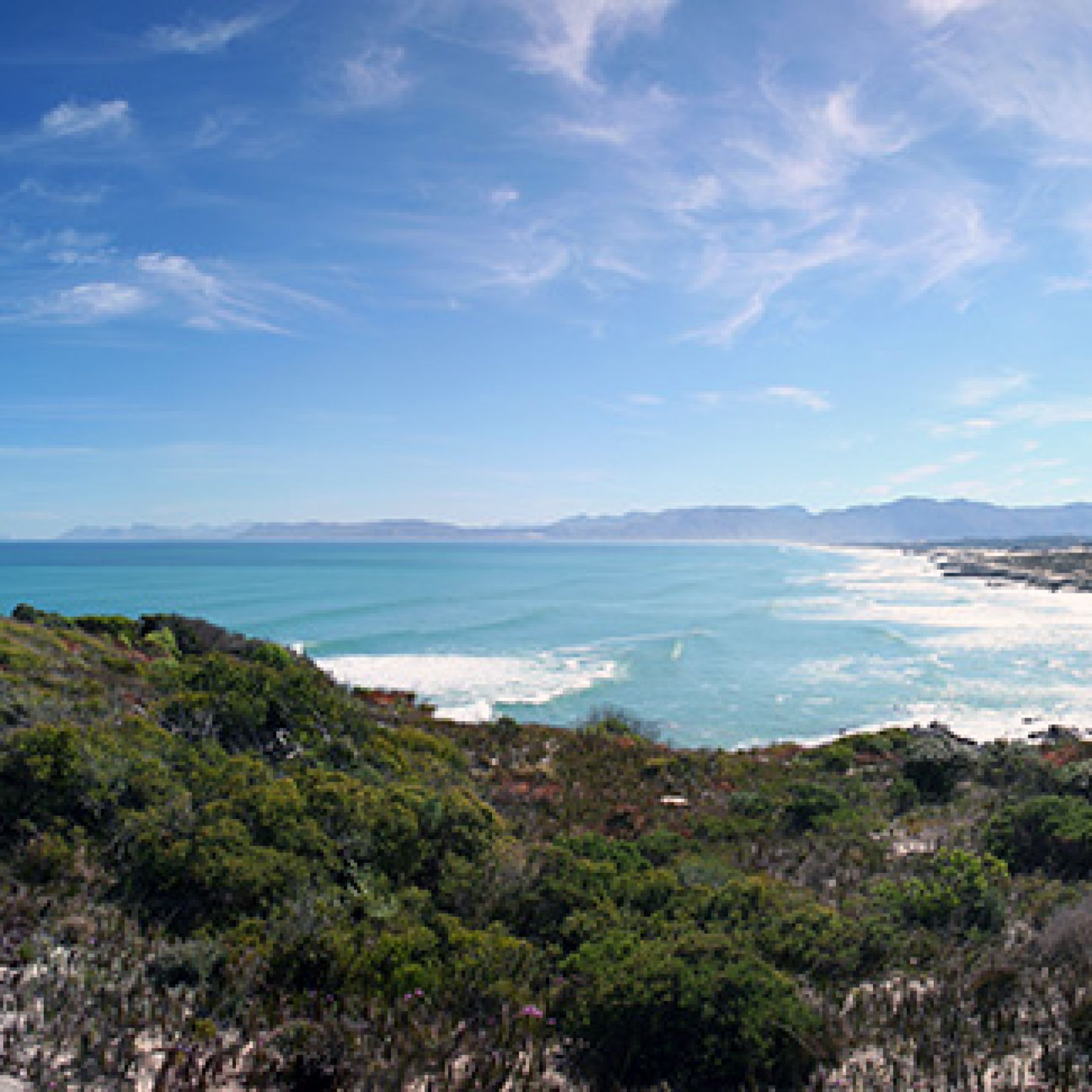 Reserves | Walker Bay Nature Reserve